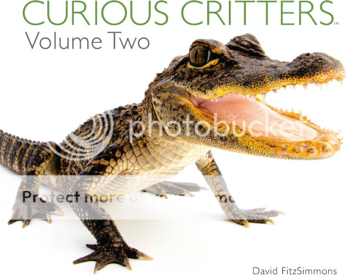 Curious Critters Volume Two {Book Review}