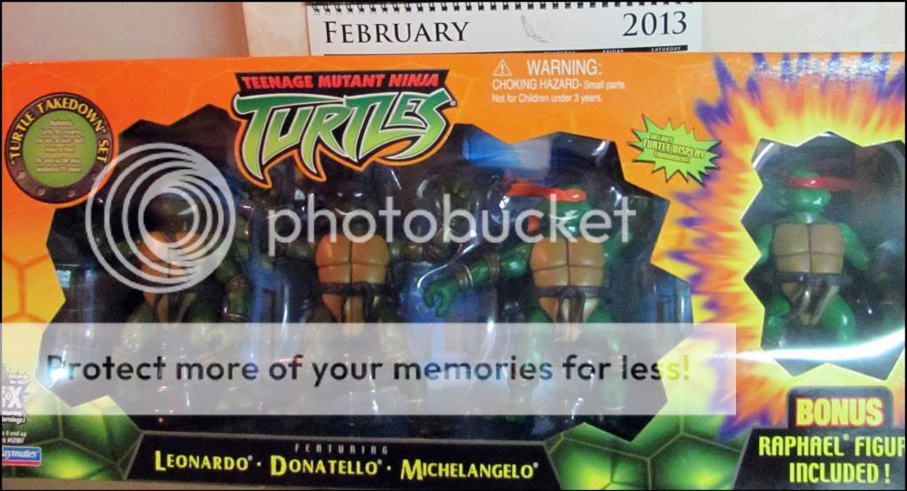 Turtle Power! | Hobbyist Forums